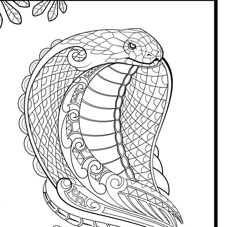 Cobra Colouring Sheet DOWNLOAD - Etsy