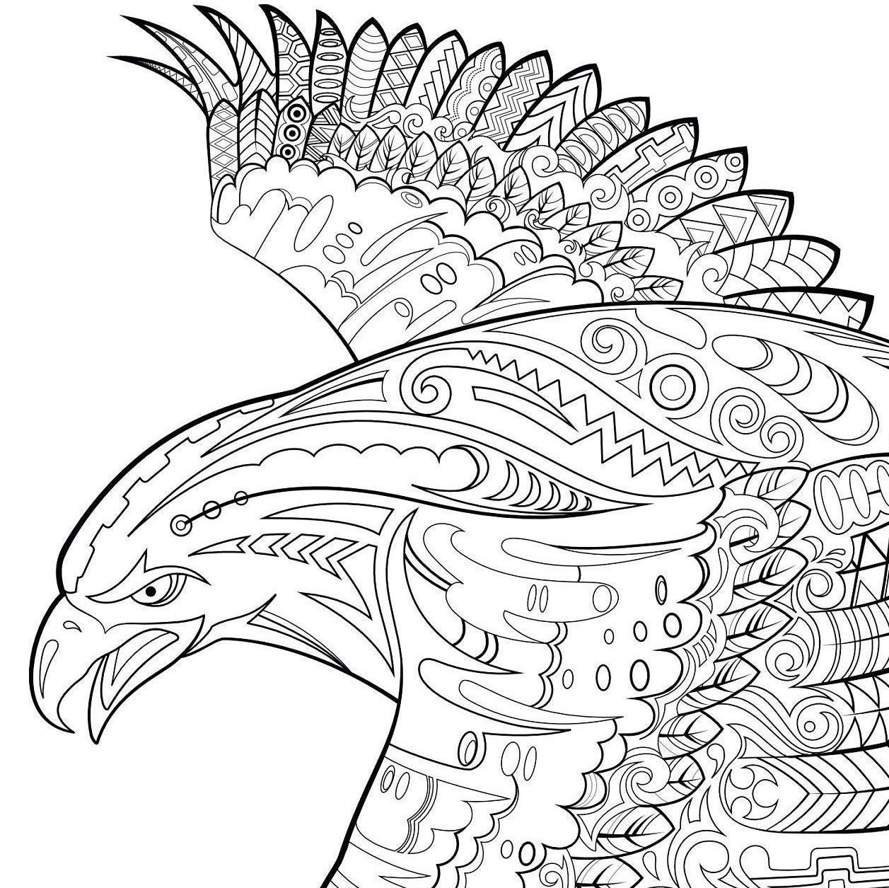 Golden Eagle Colouring Sheet DOWNLOAD - Etsy