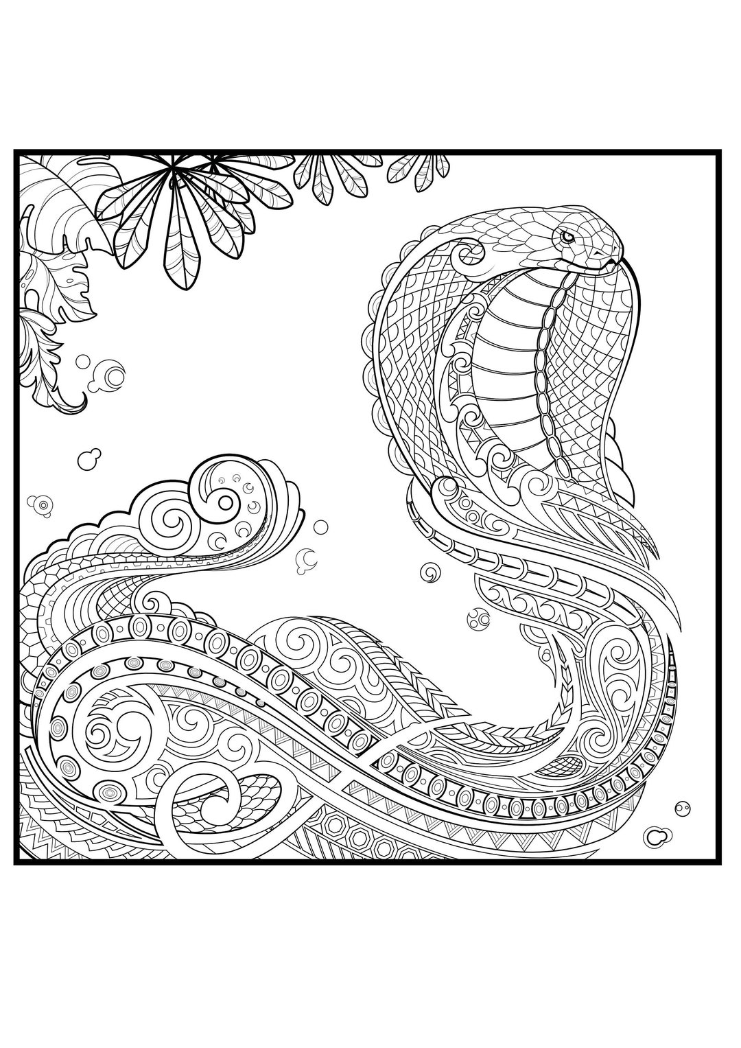Cobra Colouring Sheet DOWNLOAD - Etsy