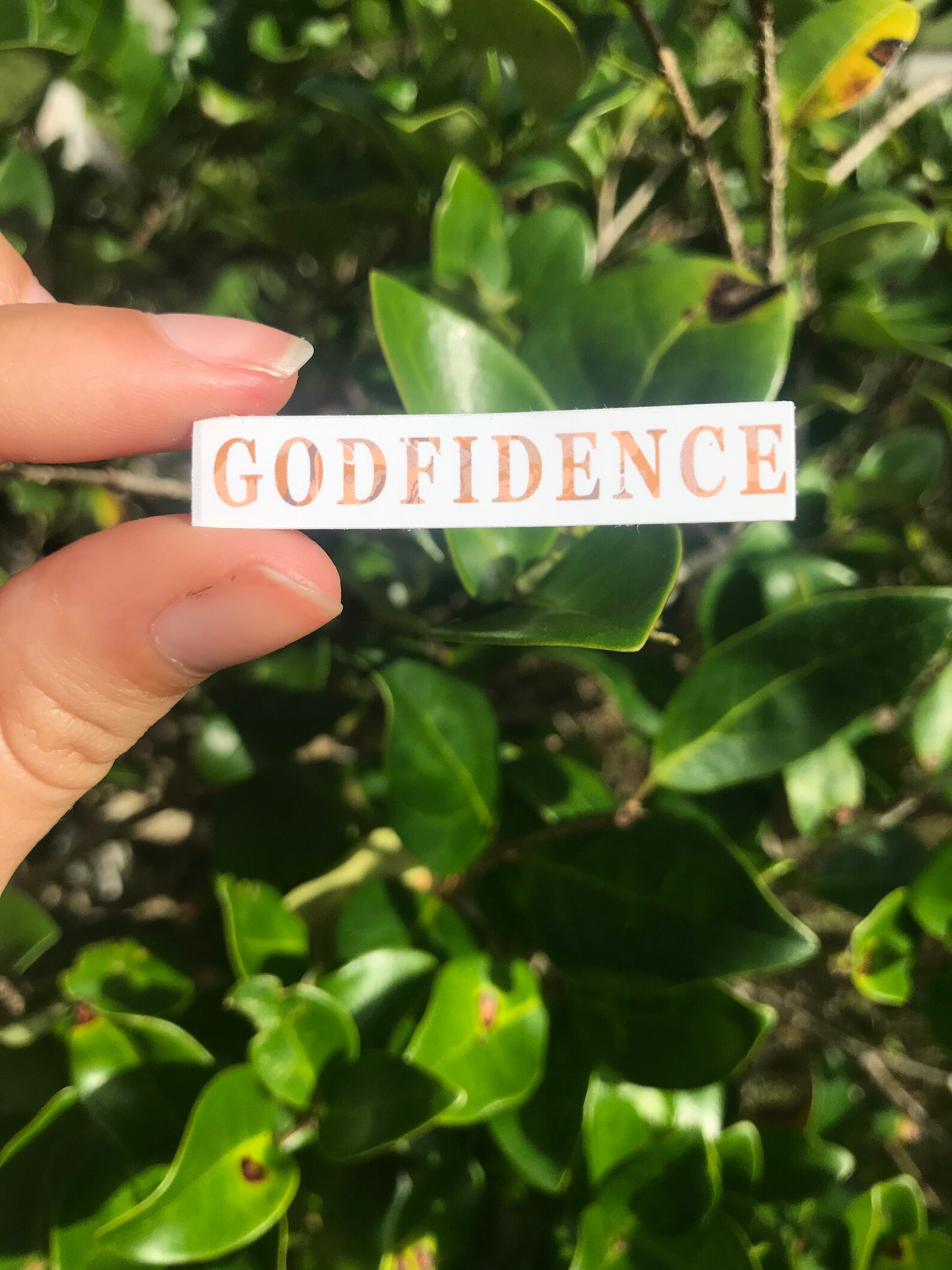 Inspirational Stickers/christian Quote Stickers/bible Verse | Etsy