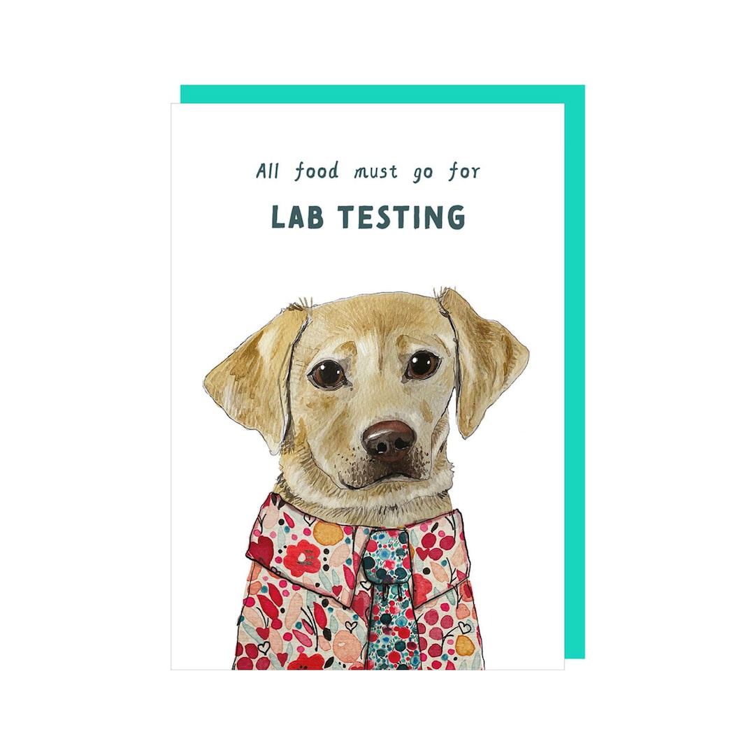 Labrador Themed Birthday Card | Lab Testing Golden - Etsy UK