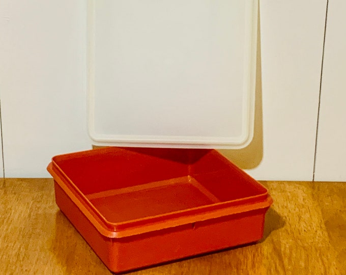 Tupperware Snack Stor Container With Seal, Burnt Orange, Square ...