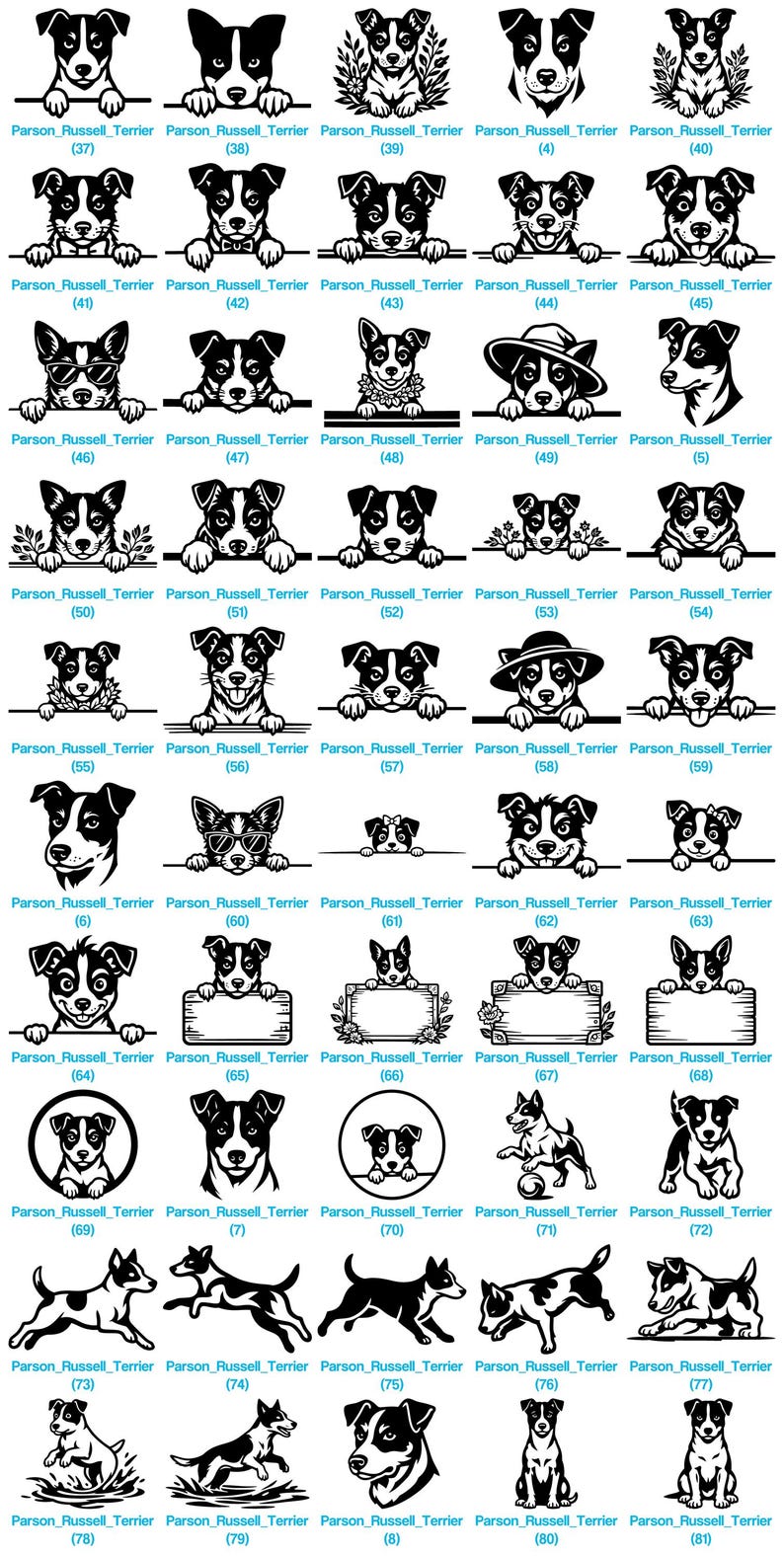 Paquete de imágenes SVG y PNG del perro Parson Russell Terrier para ...