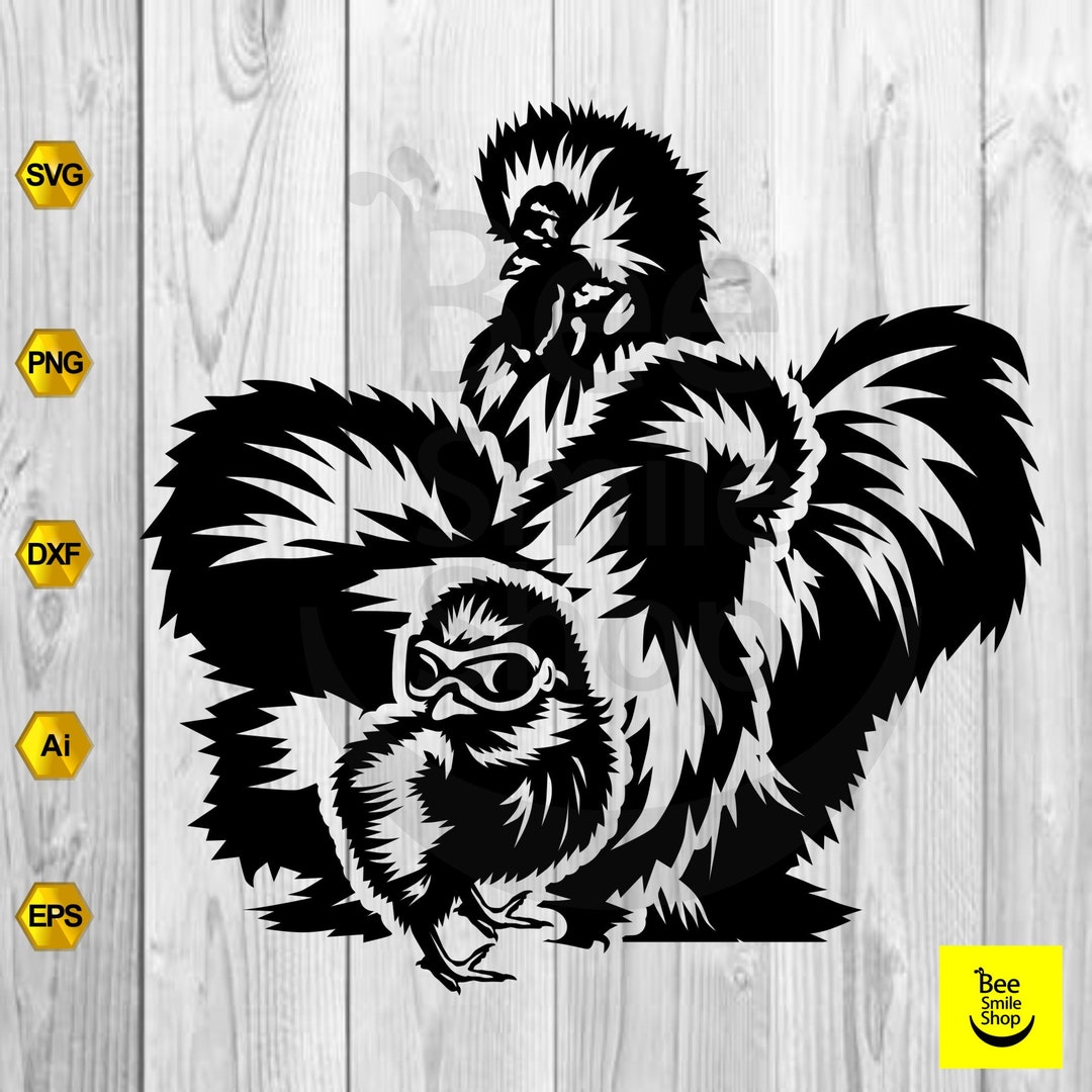 Amazing Fluffy Silky Chicken Hen Rooster SVG PNG - Chicken Svg, Chicken ...