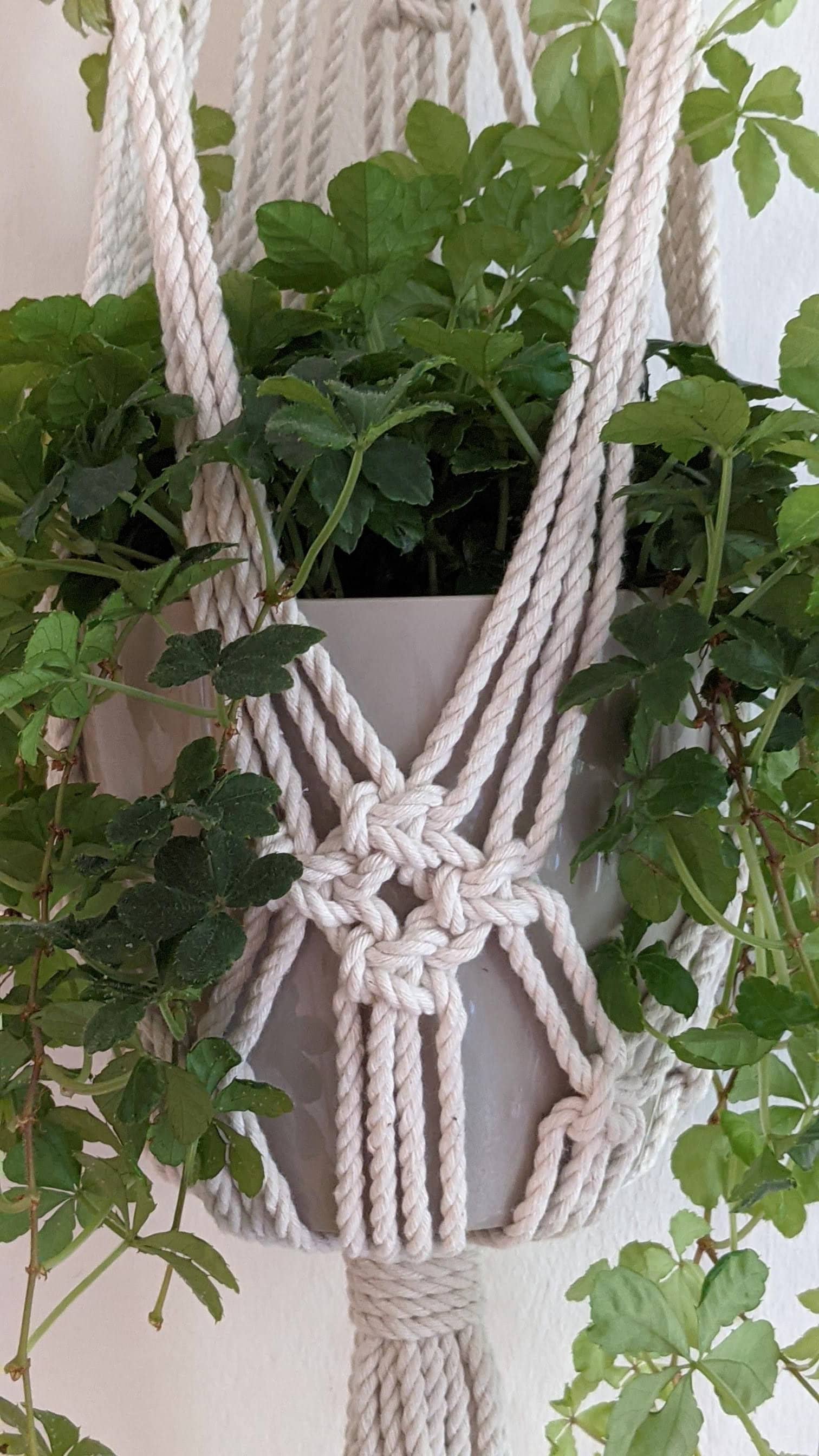 Macrame Plant Hanger and Hanging, Plant Pot, Plant Pot Hanging ...