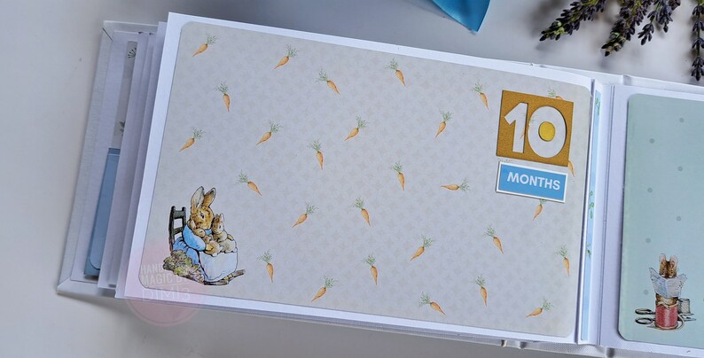 Personalized Peter Rabbit Album, Scrapbook, First Birthday Photo Album ...