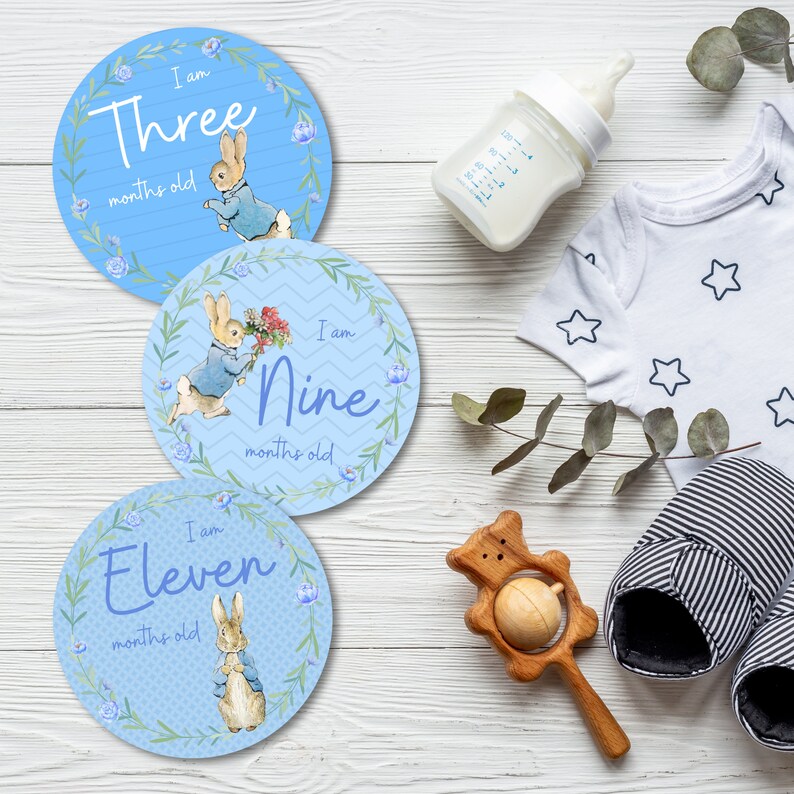 Printable Baby Milestones Coasters, Milestone Card, Monthly Milestones ...