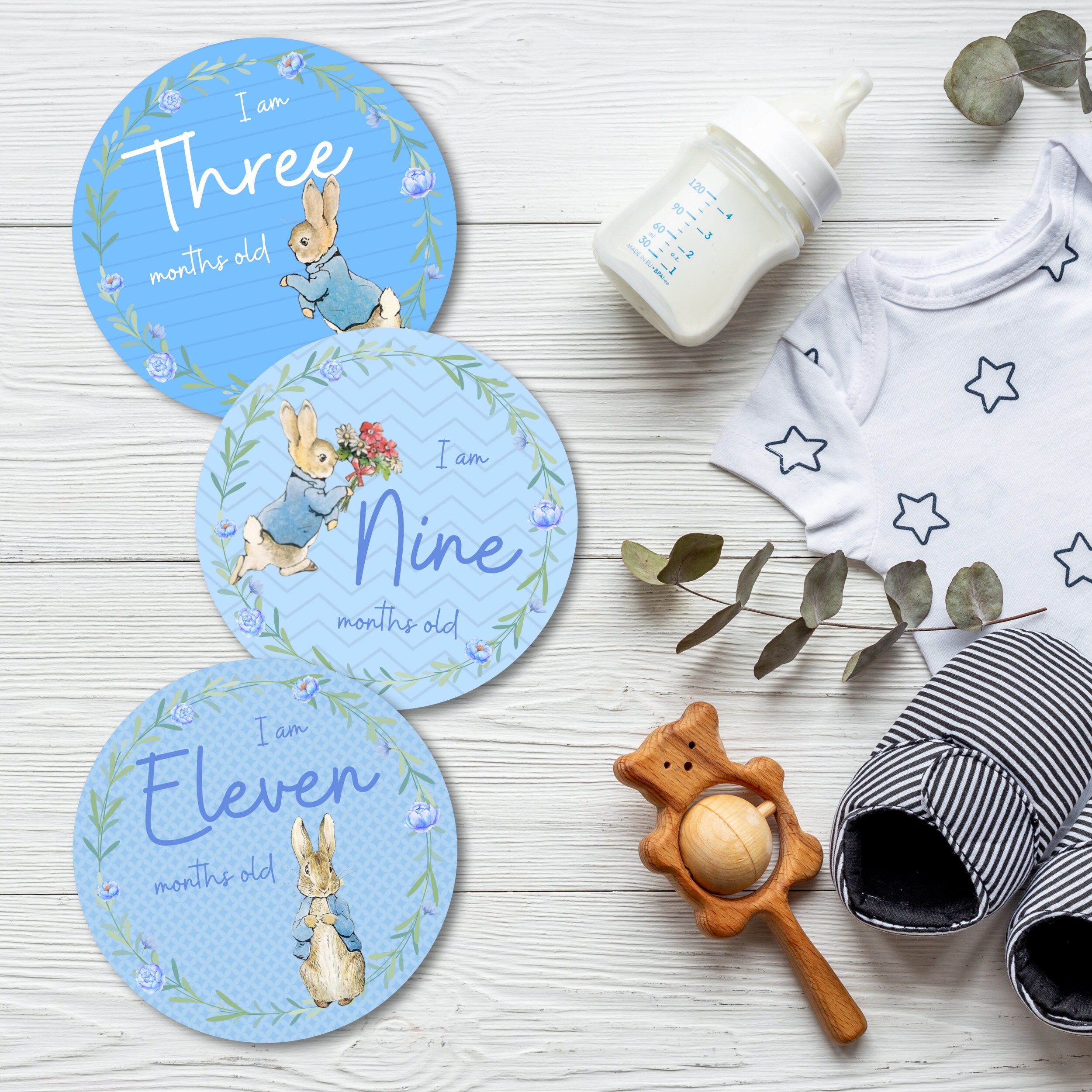 Printable Baby Milestones Coasters, Milestone Card, Monthly Milestones ...