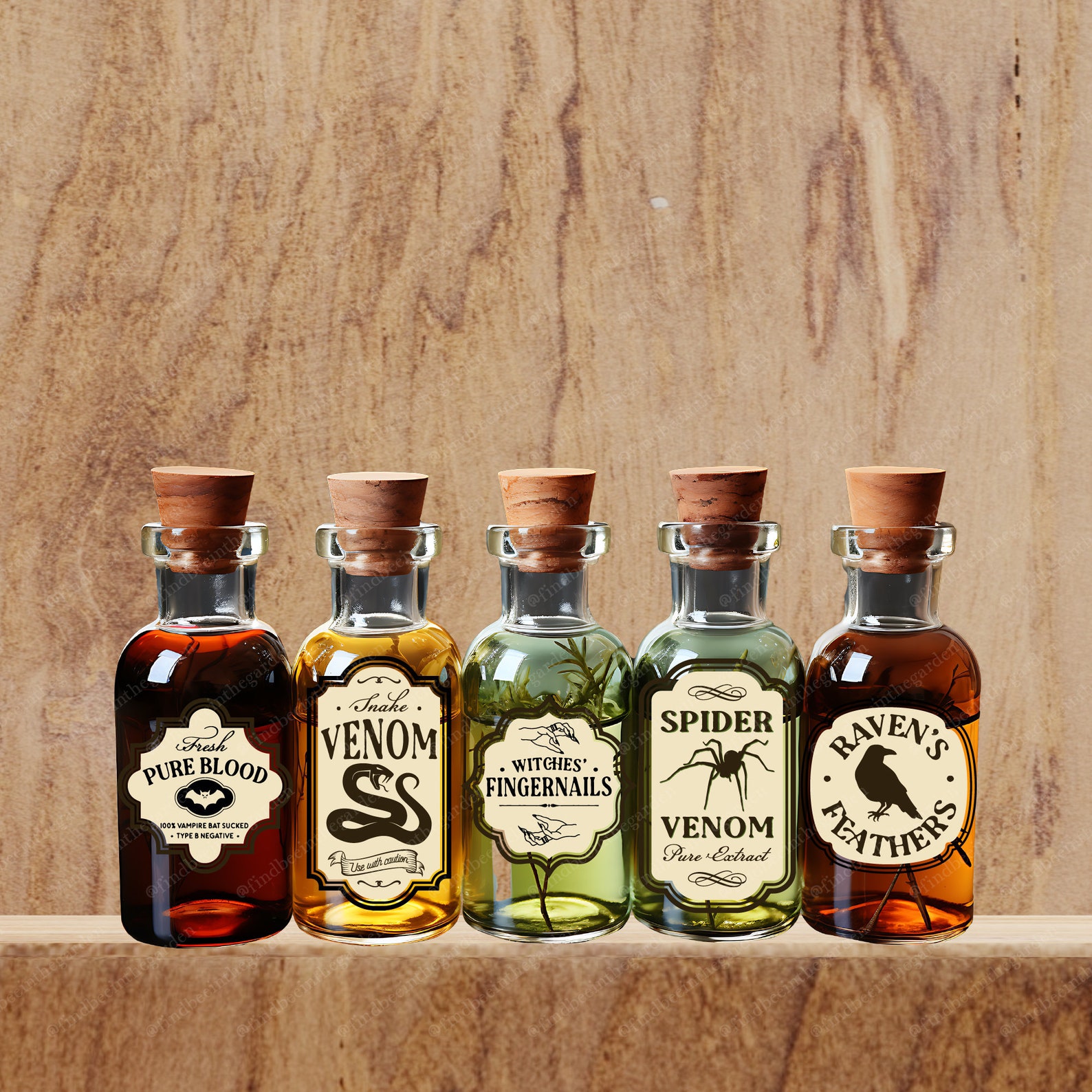 Halloween Potion Label Svg, Apothecary Label Svg, Bottle Label Svg, Jar ...
