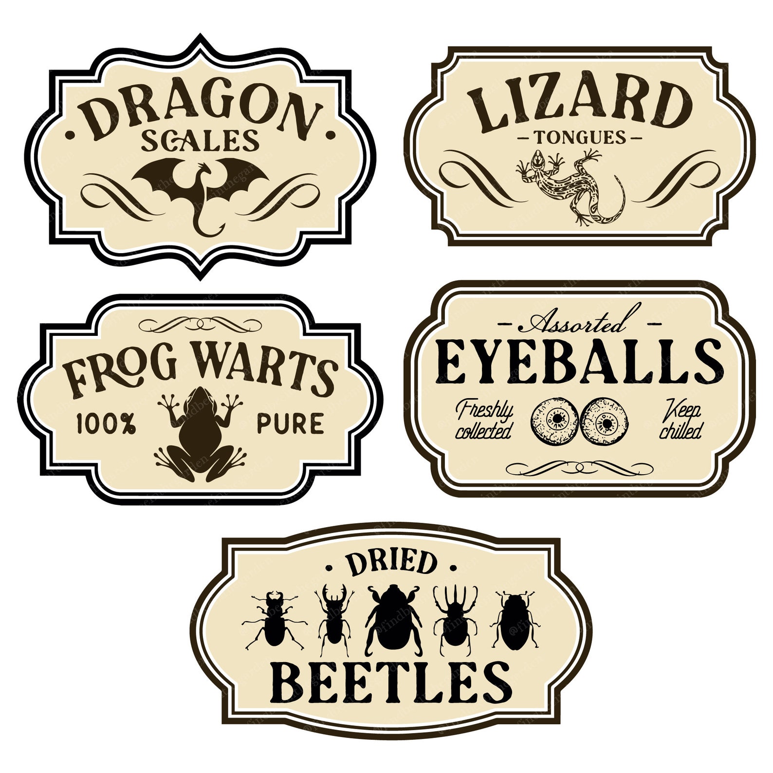 Halloween Potion Label Svg, Apothecary Label Svg, Bottle Label Svg, Jar ...