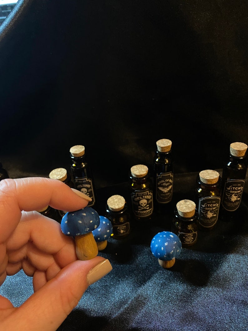 Miniature Potion Bottle Sets With Labels and Mushroom Decor - Etsy