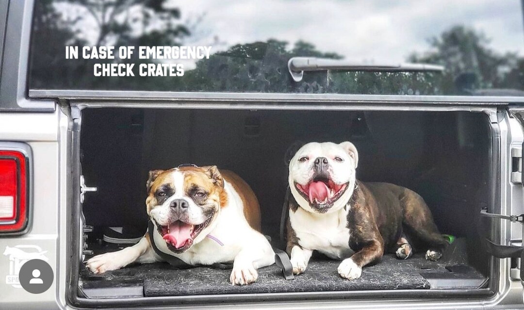 In Case of Emergency Check Crates Car Decal | Window Decal - Etsy