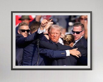 Poster Donald Trump Assassination Attempt - Etsy