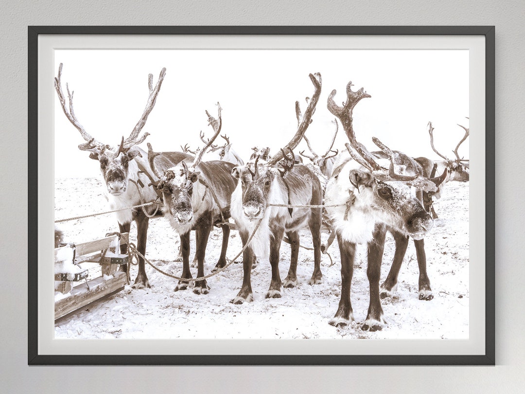 Nordic Winter Print, Reindeer Poster, Holiday Wall Decor, Reindeer ...