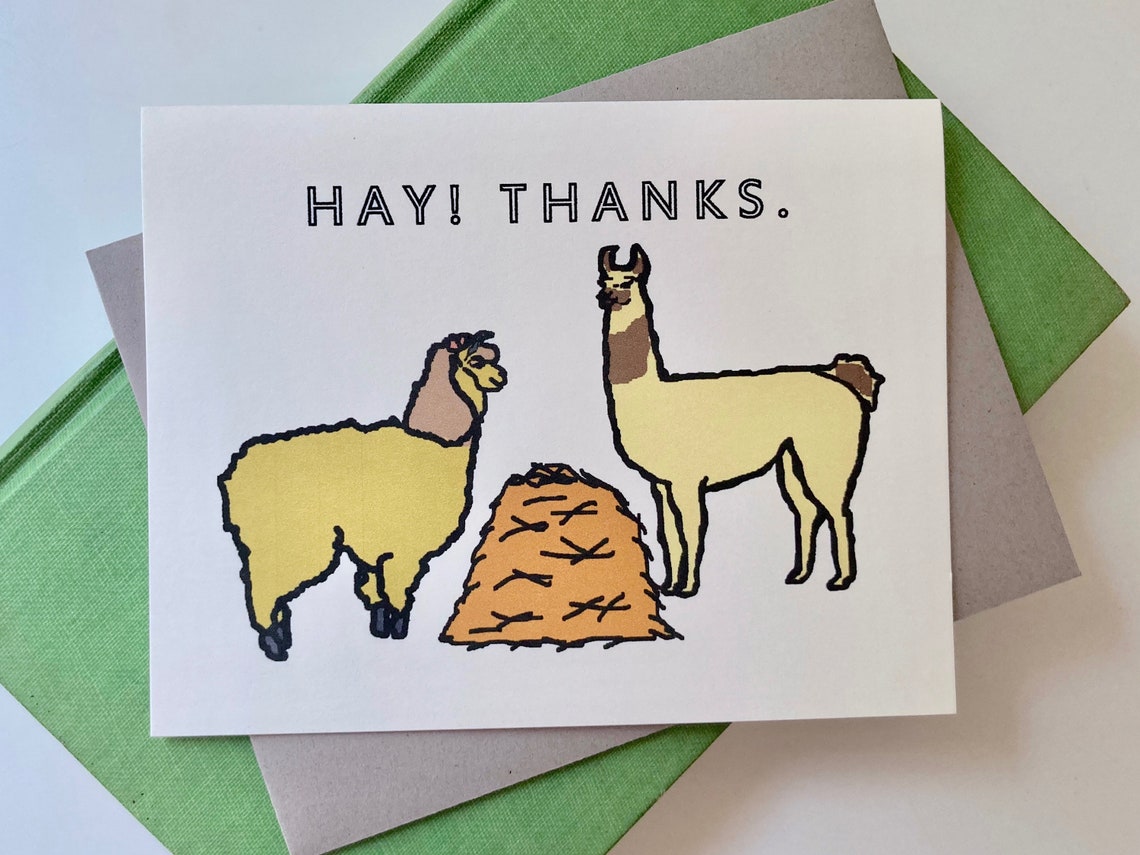 Hay Thanks Llama and Alpaca Thank You Card, Individual or Set of 5 - Etsy
