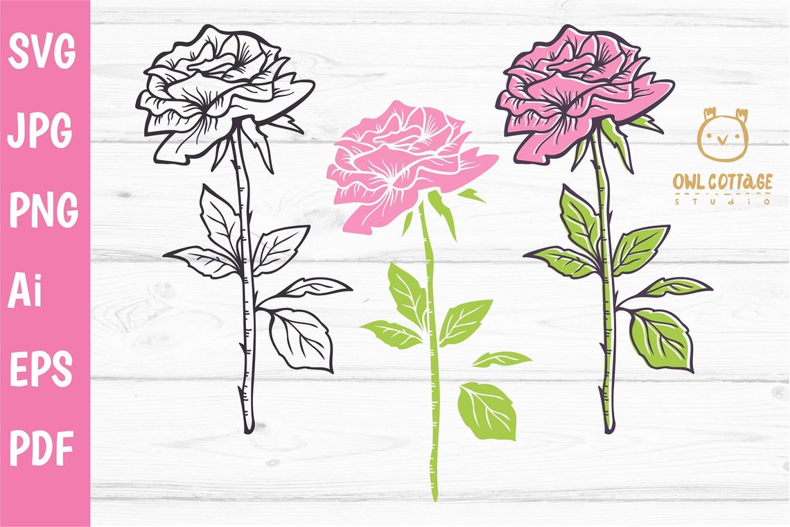 Simple ROSES Svg BUNDLE Rose Svg Rose Clipart Rose Svg Cut | Etsy