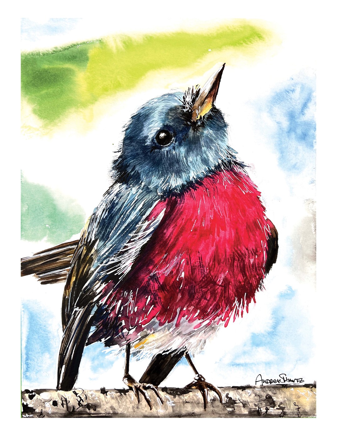 Red Bird, Red Song Bird, Beautiful Bird, Rose Robin, Posey Rosey, Bird ...