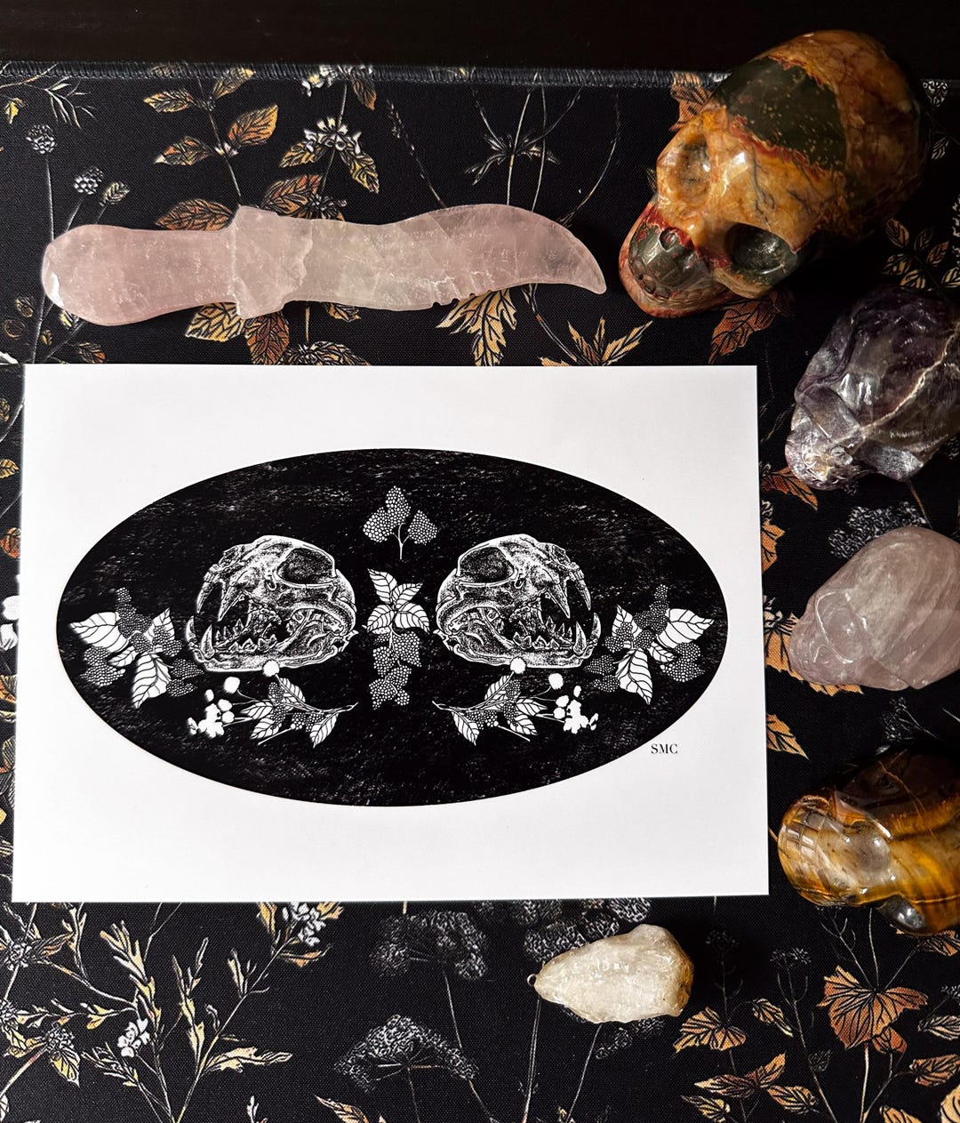 7x5 Horizontal Duo Cat Skull Art Print | Gothic Surreal Decor | Dark ...