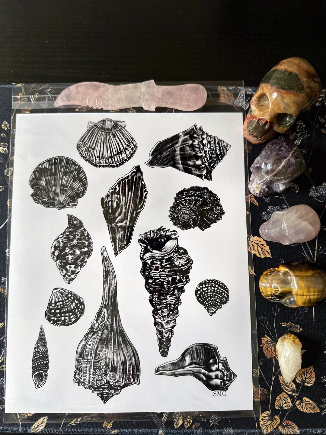 8x10 Seashell Formation Art Print | Gothic Surreal Decor | Dark ...