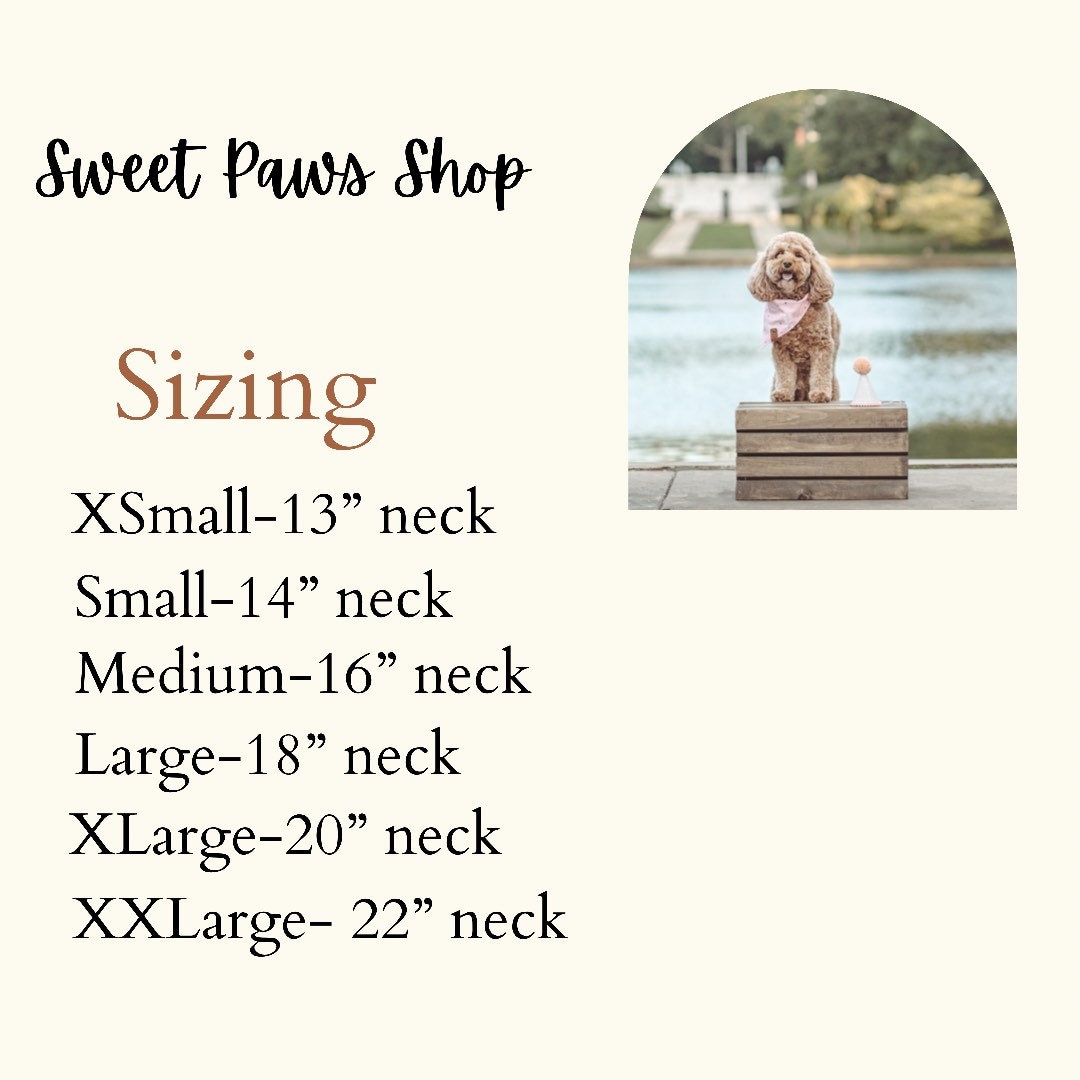 Branch Manager Dog Bandana Funny Dog Bandana Silly Dog - Etsy.de