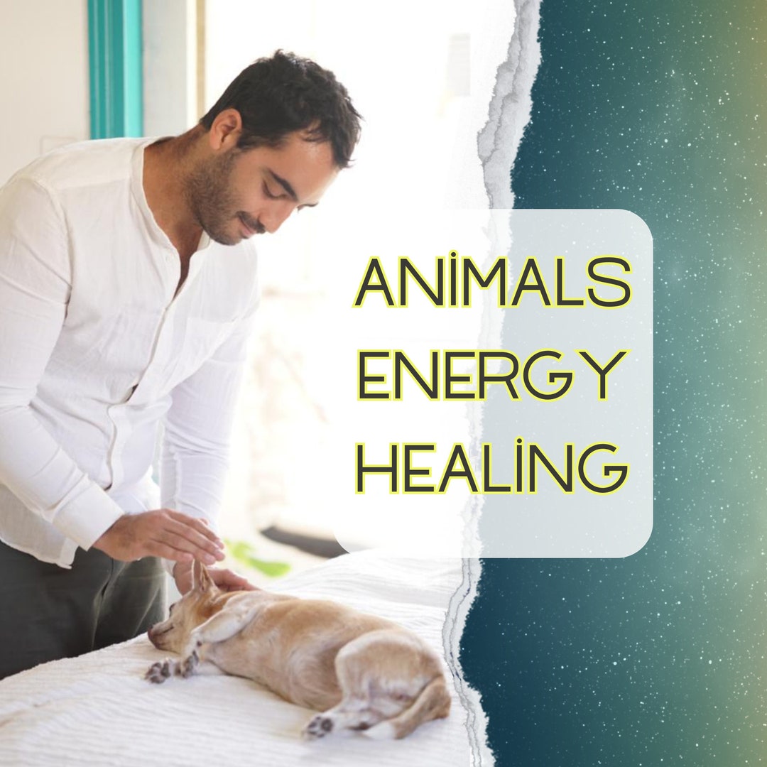Remote Healing for Pets and Animals - Etsy