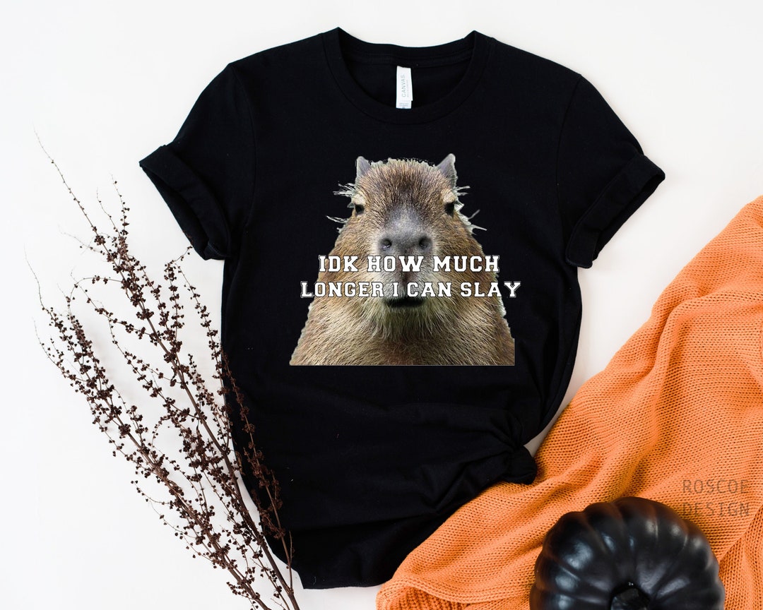 Idk How Much Longer I Can Slay Capybara Sarcastic Dank Meme - Etsy