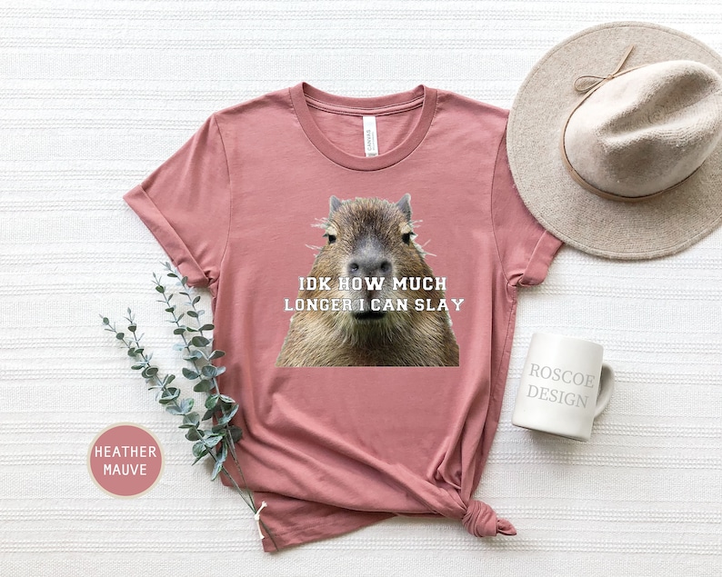 Idk How Much Longer I Can Slay Capybara Sarcastic Dank Meme - Etsy