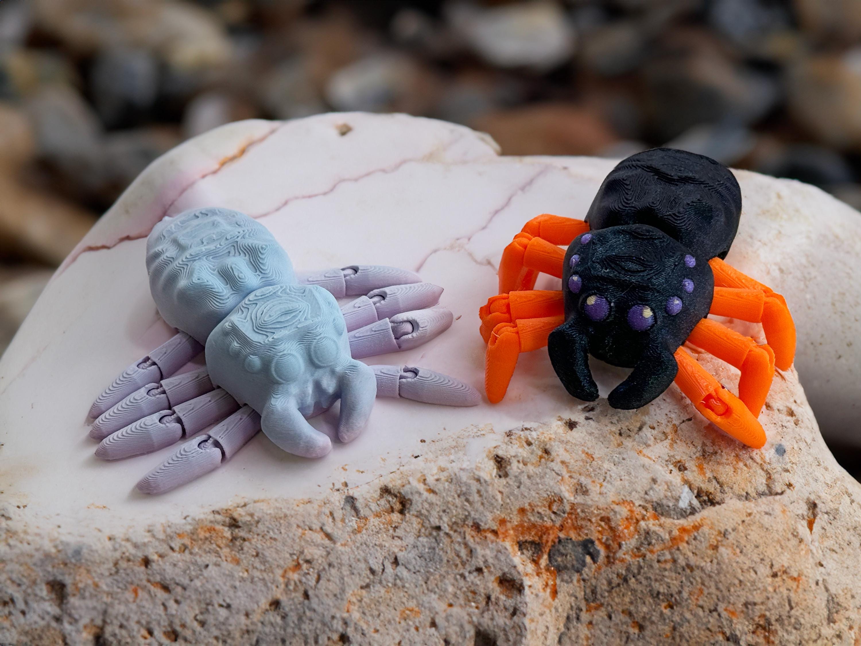 Skeletorus Jumping Spider by Teal Cat Creative | STL File | Articulated ...
