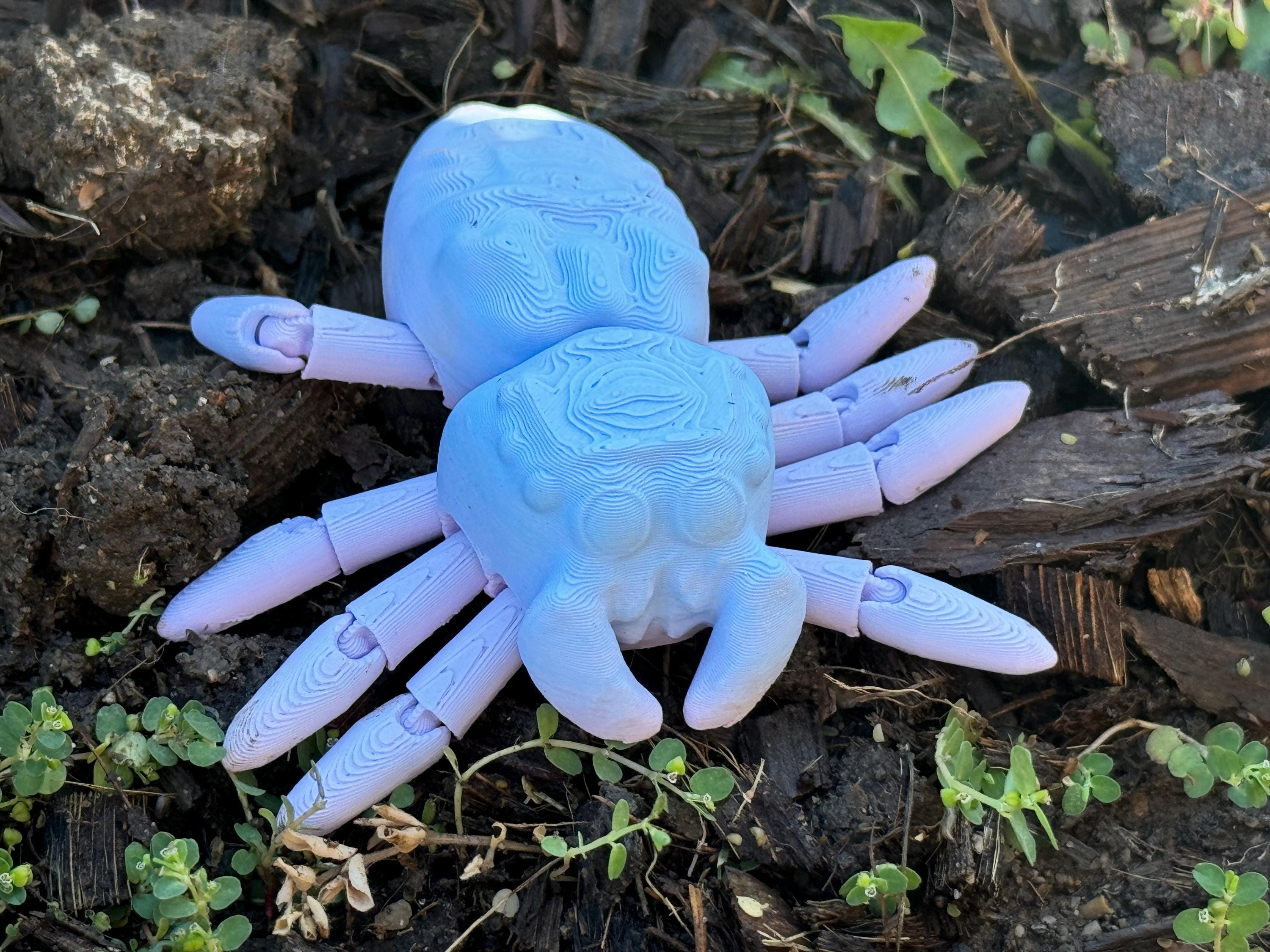 Skeletorus Jumping Spider by Teal Cat Creative | STL File | Articulated ...