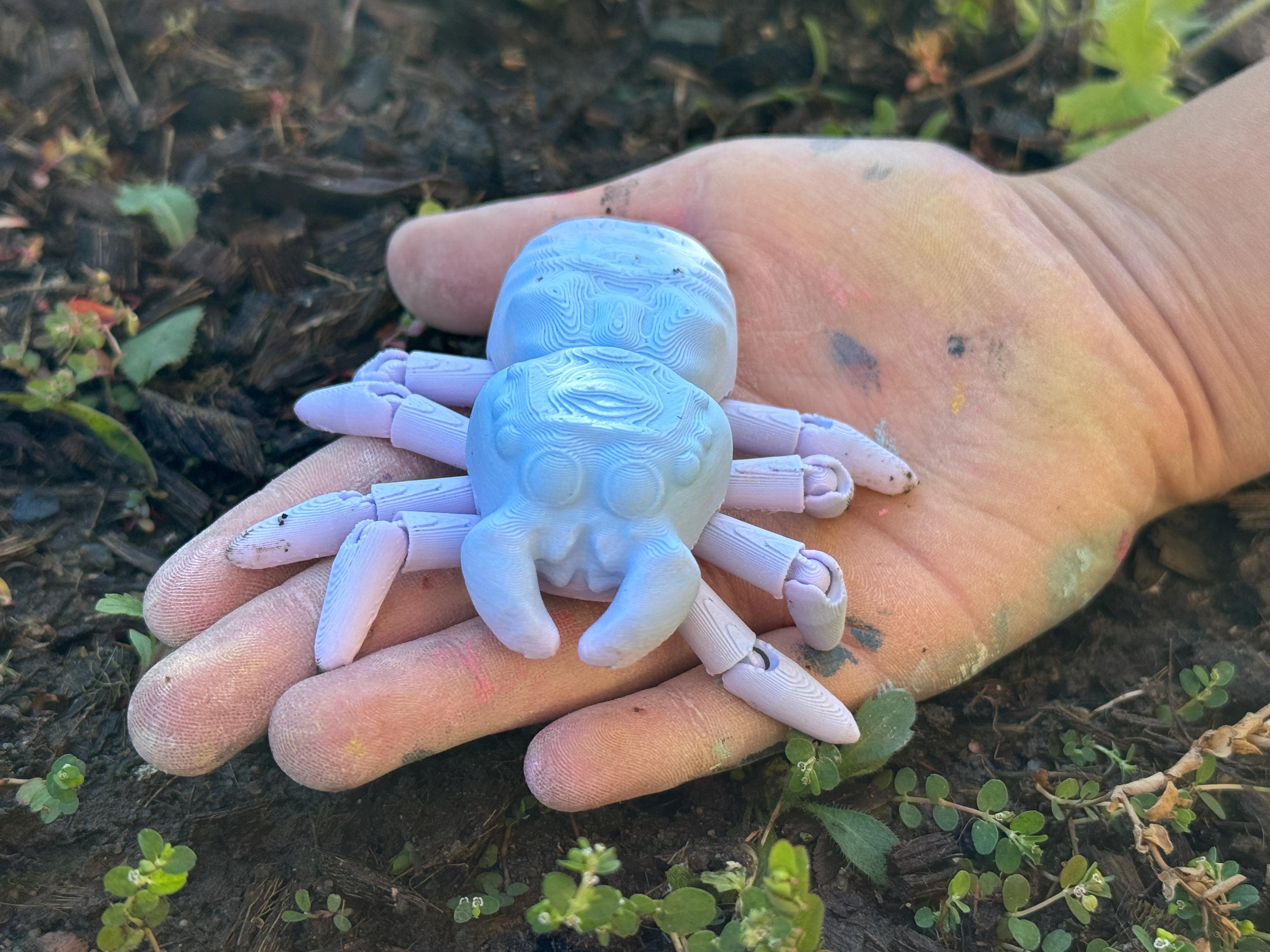 Skeletorus Jumping Spider by Teal Cat Creative | STL File | Articulated ...