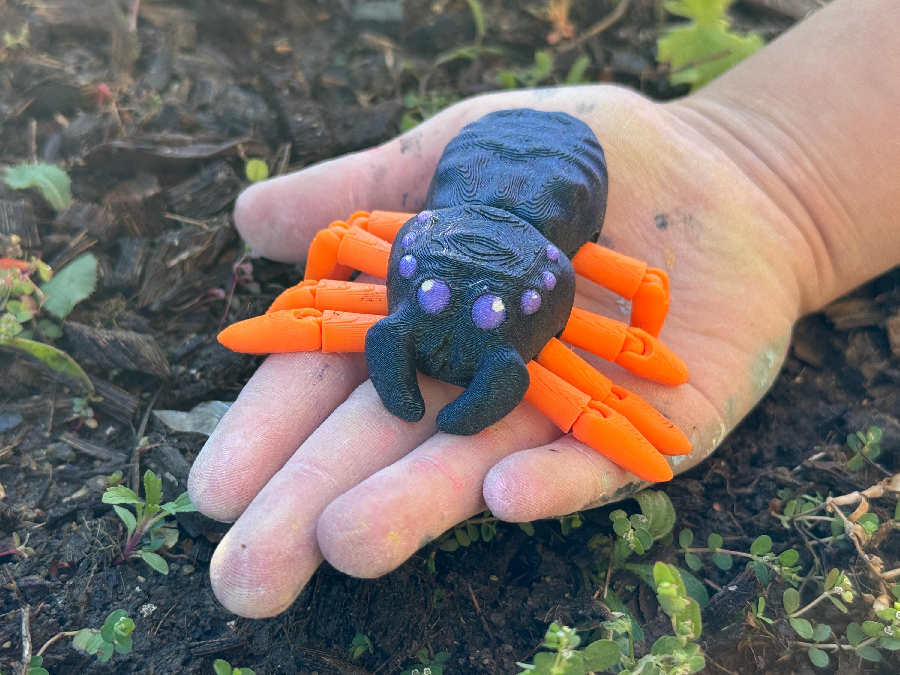 Skeletorus Jumping Spider by Teal Cat Creative | STL File | Articulated ...