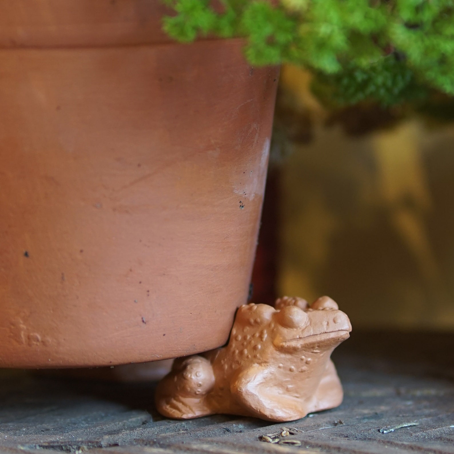 Terra Cotta Toad Pot Feet - Set of Three - Etsy