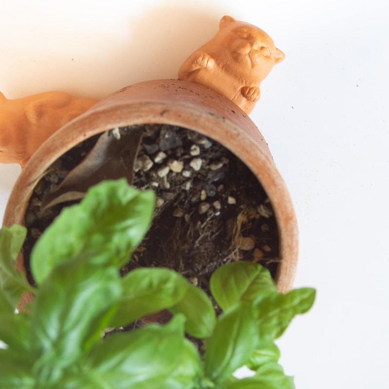 Animal Plant Risers - Etsy