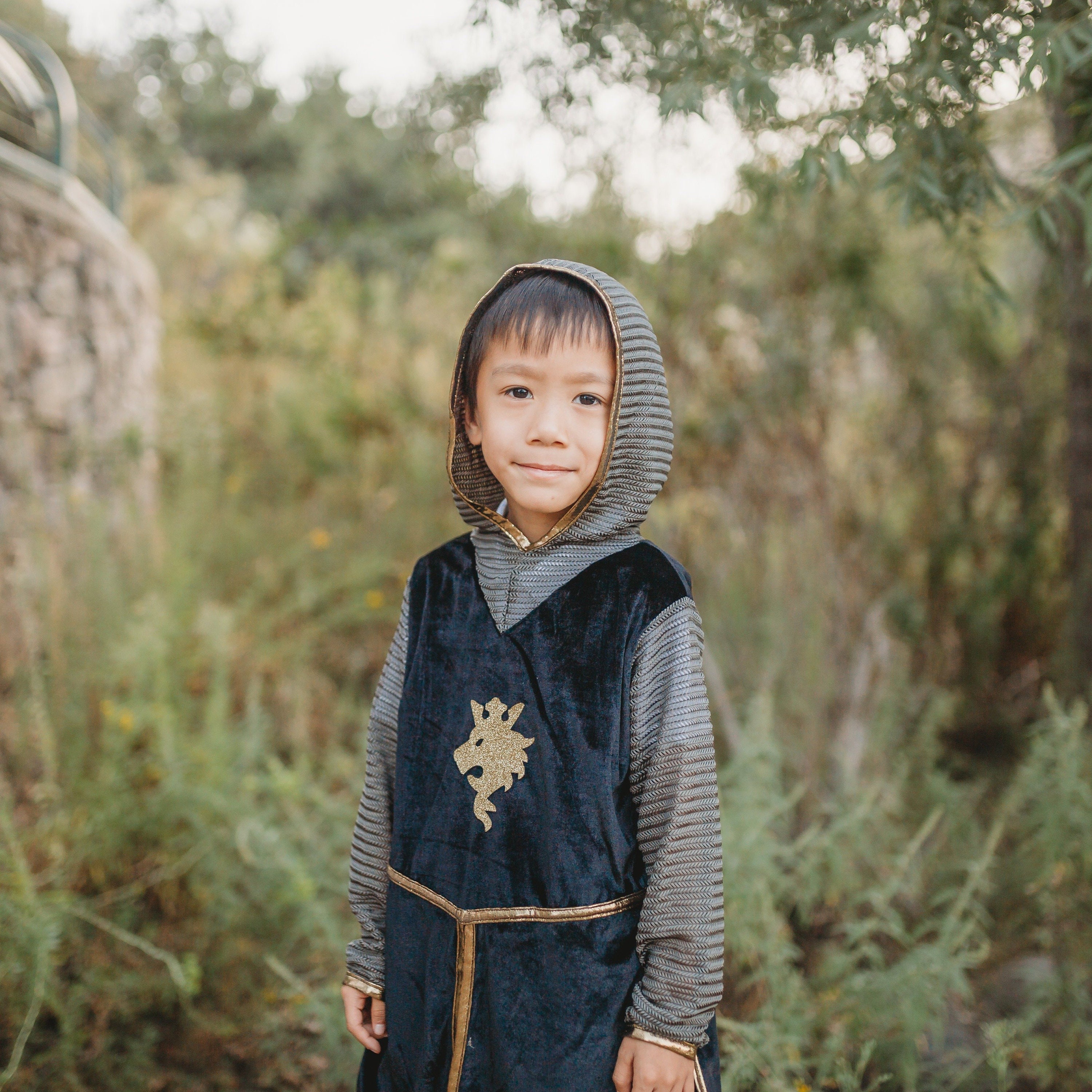 Kids Knight Costume Knight Tunic Set Gold and Silver - Etsy Canada