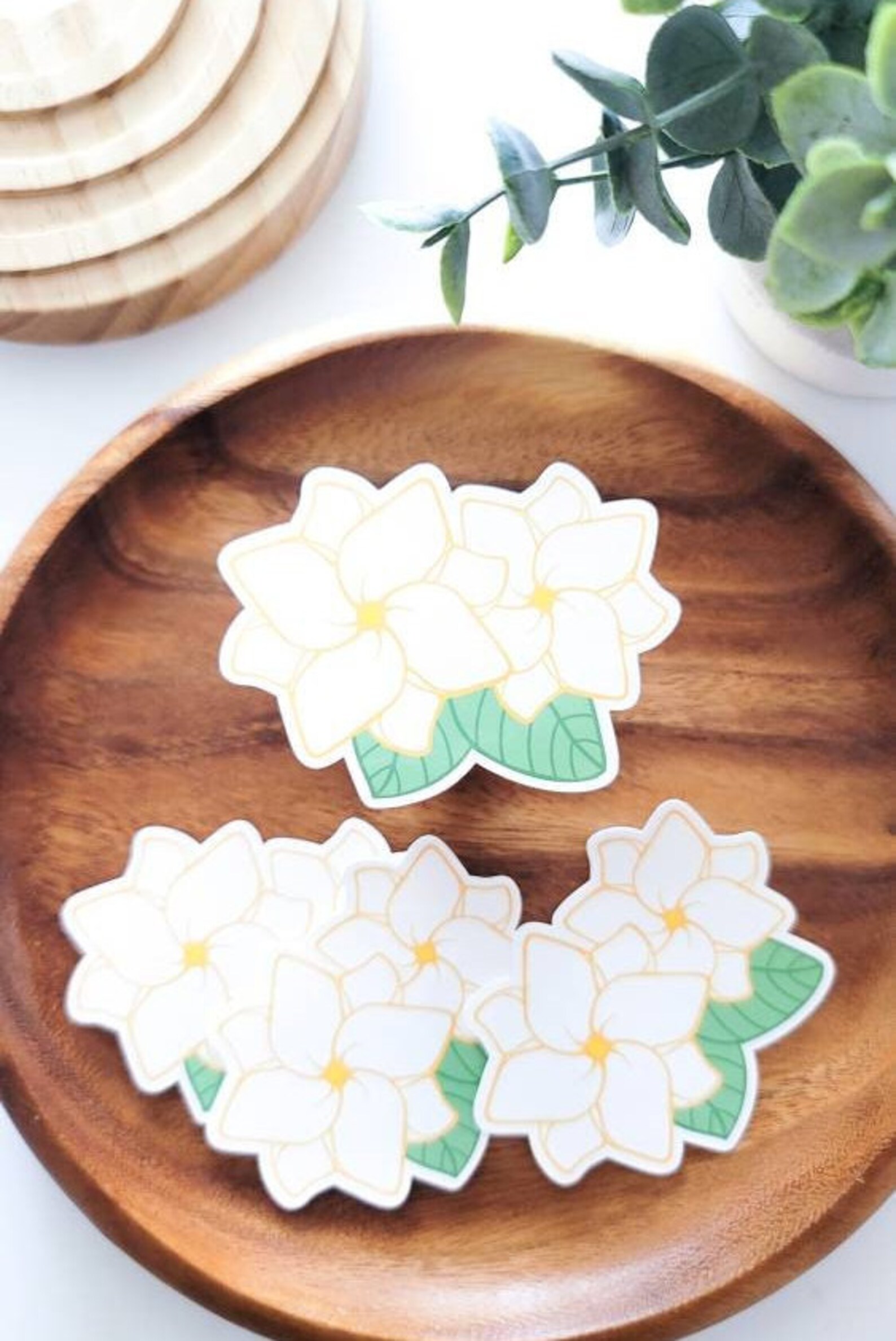 Jasmine Sampaguita Sticker Cute Filipino Flower Floral - Etsy