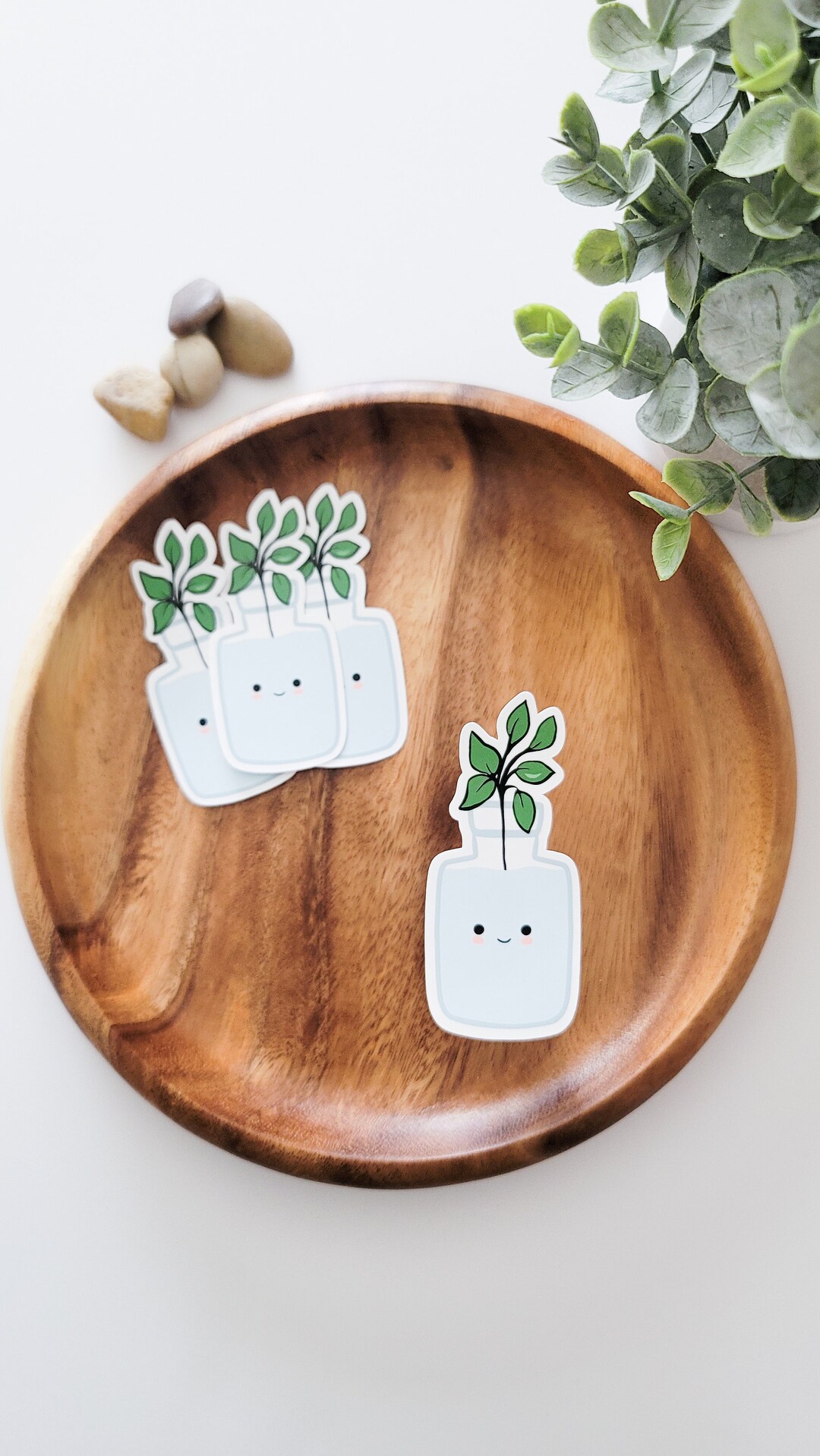 Cute Propagation Plant Sticker | Plant Lover Propagation Station ...