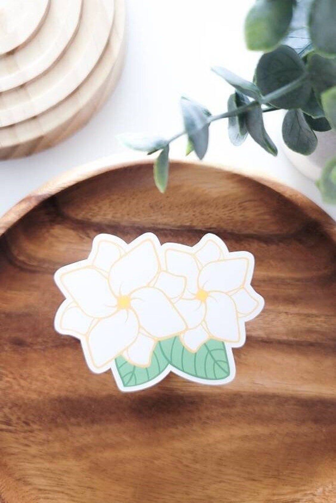 Jasmine Sampaguita Sticker | Cute Filipino Flower Floral Philippines ...