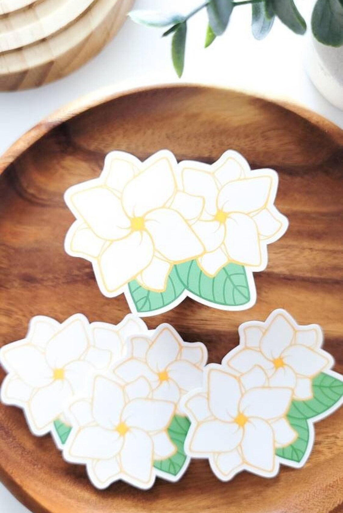 Jasmine Sampaguita Sticker Cute Filipino Flower Floral - Etsy