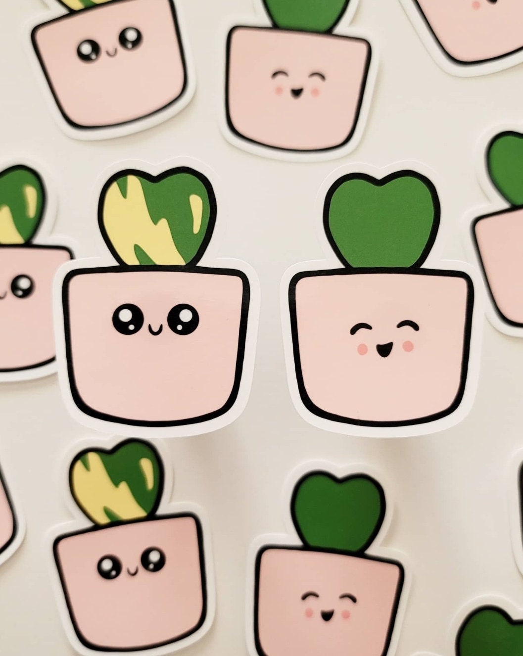 Hoya Kerrii Stickers Glossy Laminated Weatherproof Stickers - Etsy