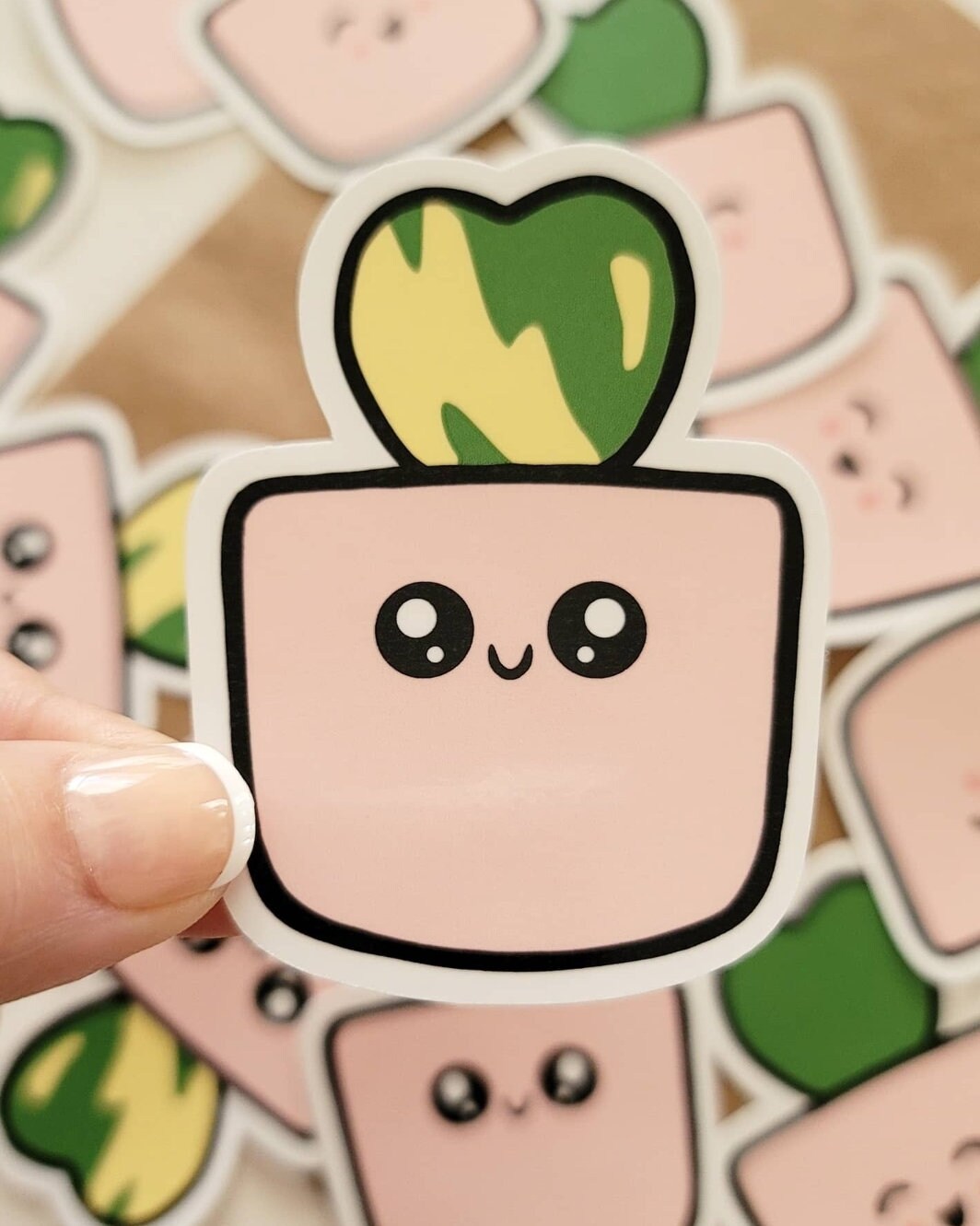 Hoya Kerrii Stickers Glossy Laminated Weatherproof Stickers - Etsy