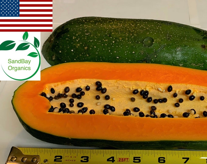 25+ Heirloom Sweet Green Papaya Seeds | Rare | Non-gmo | Organic ...