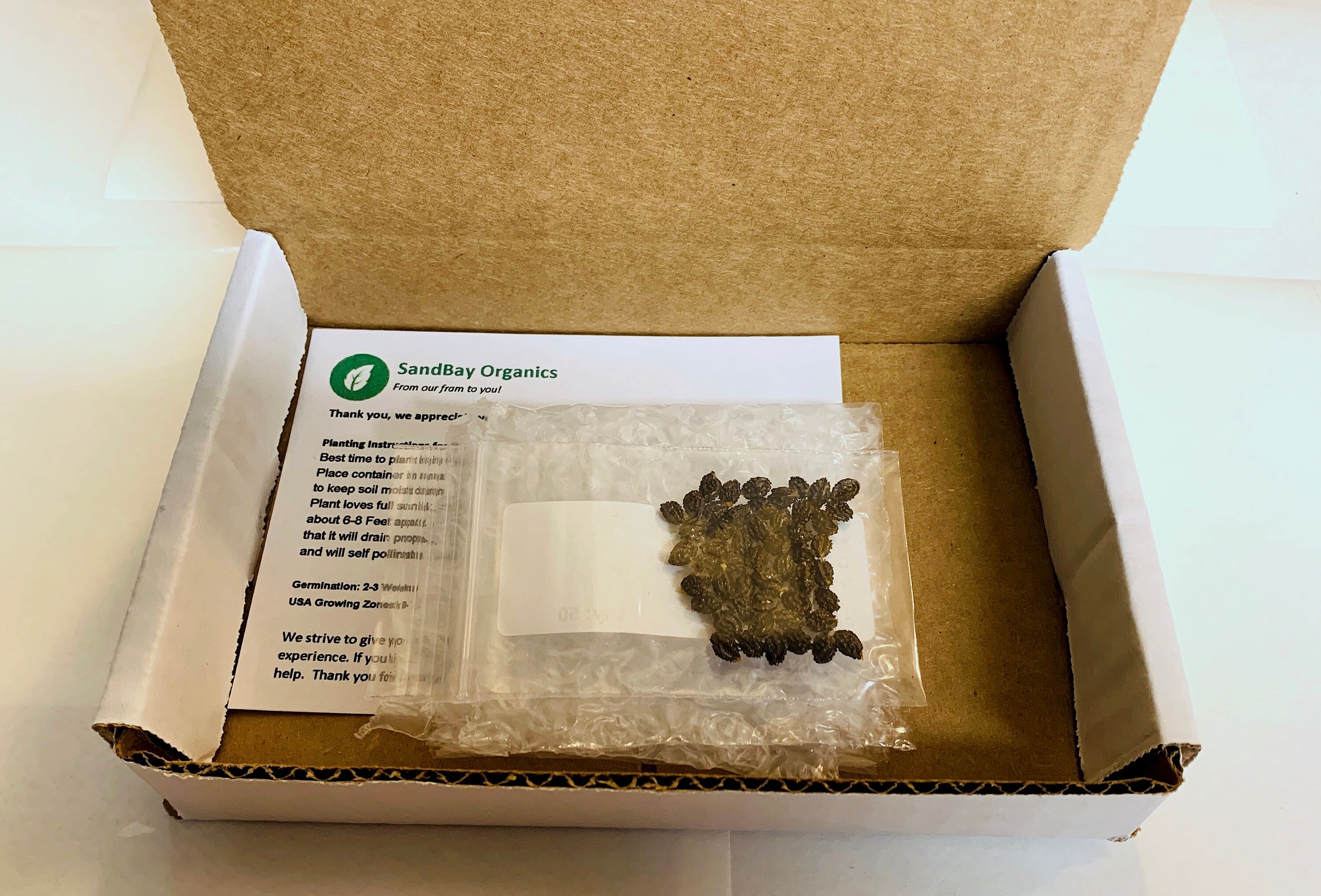 25 Heirloom Sweet Green Papaya Seeds Rare Non-gmo - Etsy