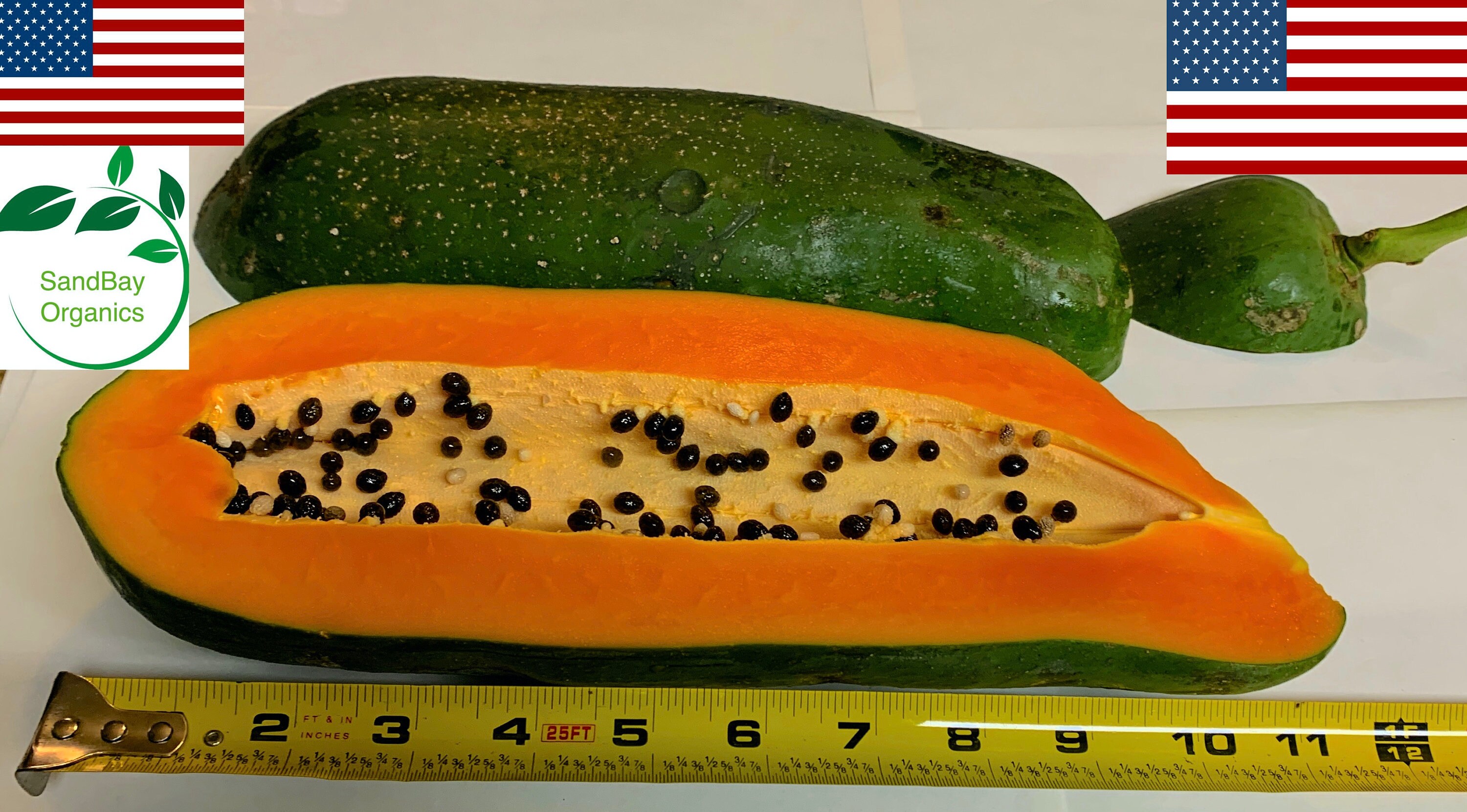 25 Heirloom Sweet Green Papaya Seeds Rare Non-gmo - Etsy