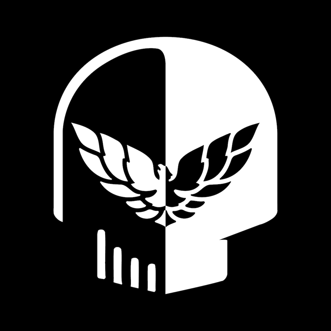 Pontiac Trans Am WS6 Corvette Inspired Skull Decal - Etsy