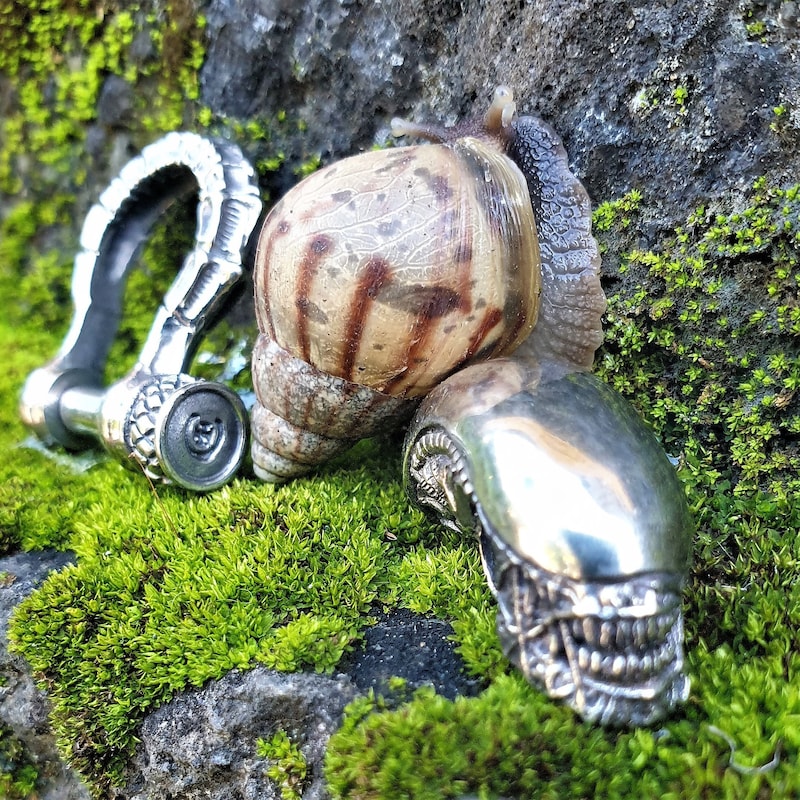 Paracord Bead - Etsy