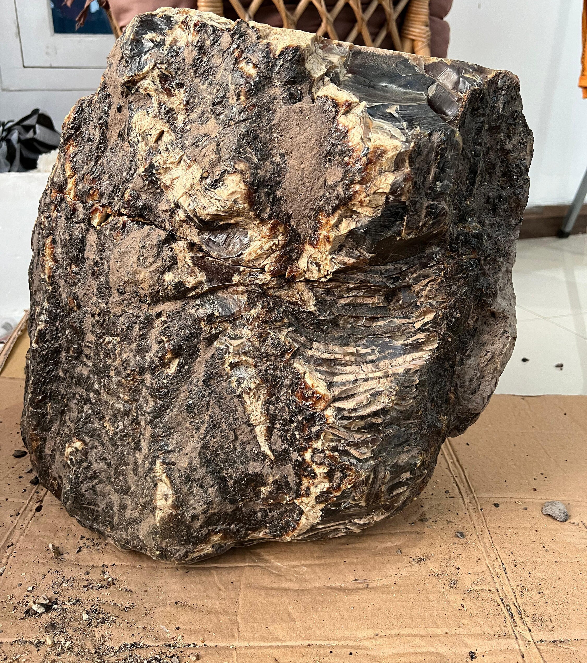 Big Natural Raw Amber | 31,6kg | Natural | Good Quality | Very Rare - Etsy