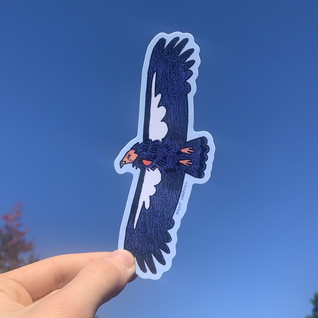 California Condor Sticker - in Flight - Etsy