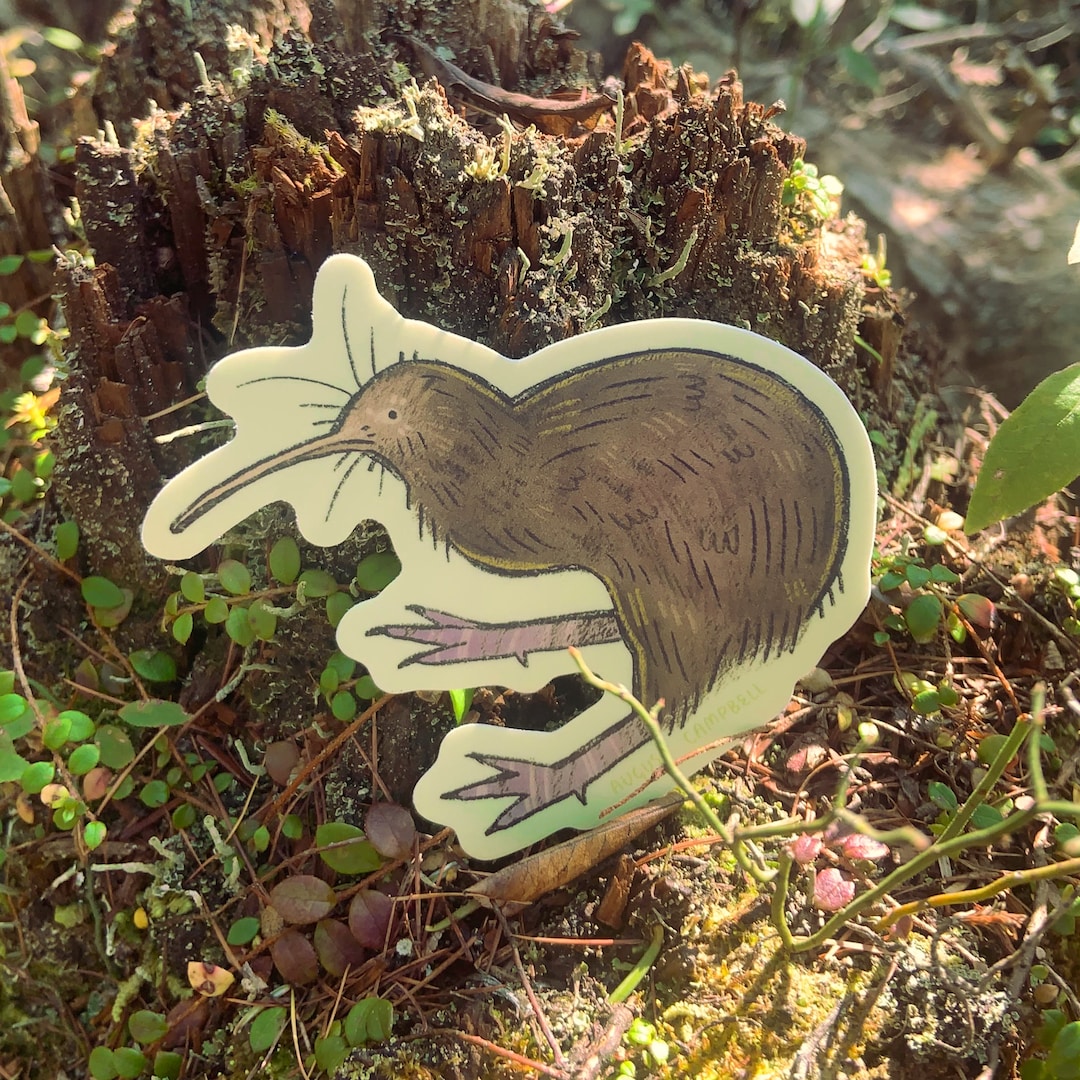 Kiwi Bird Sticker - Etsy