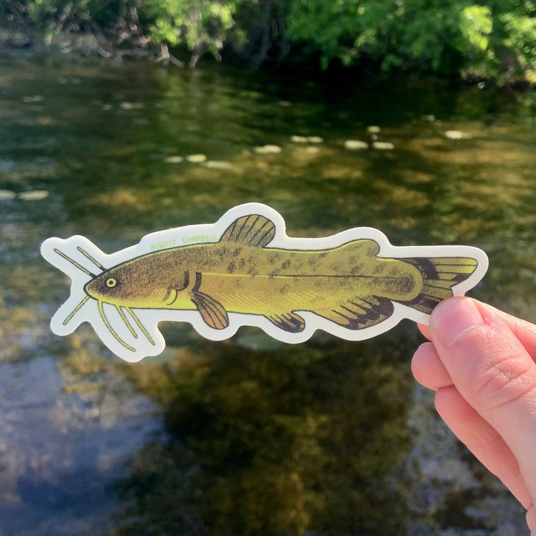 Brown Bullhead Sticker - Etsy