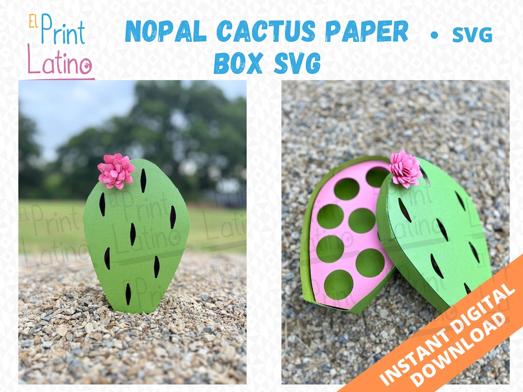 Nopal Cactus Paper Box SVG, Latino Paper Crafts, Fiesta Mexicana ...